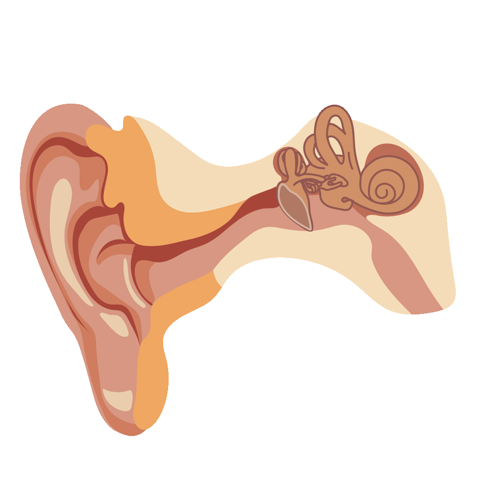 Auditory Gif